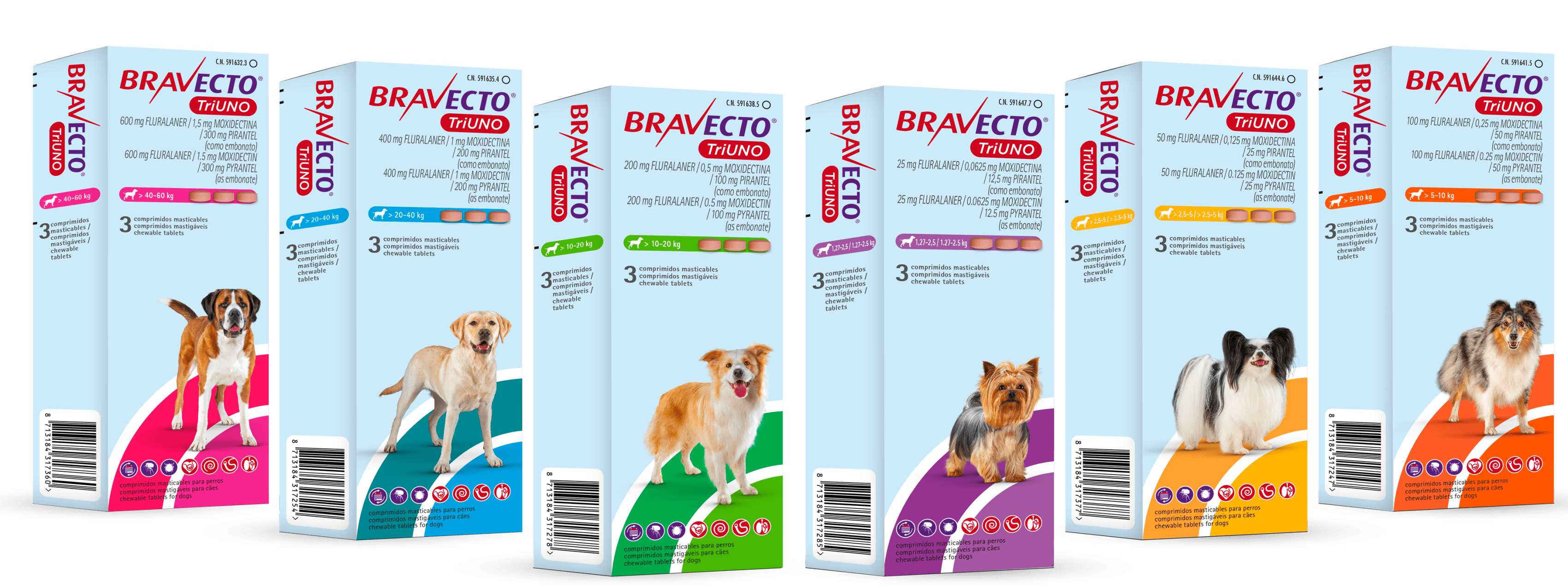 Updated homepage - Bravecto Global PT